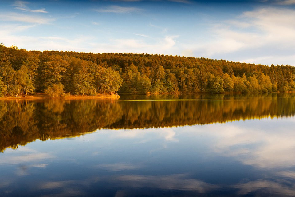 Lake Water Forest - Free photo on Pixabay