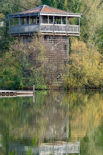 Lake Tower Water - Free photo on Pixabay - Pixabay