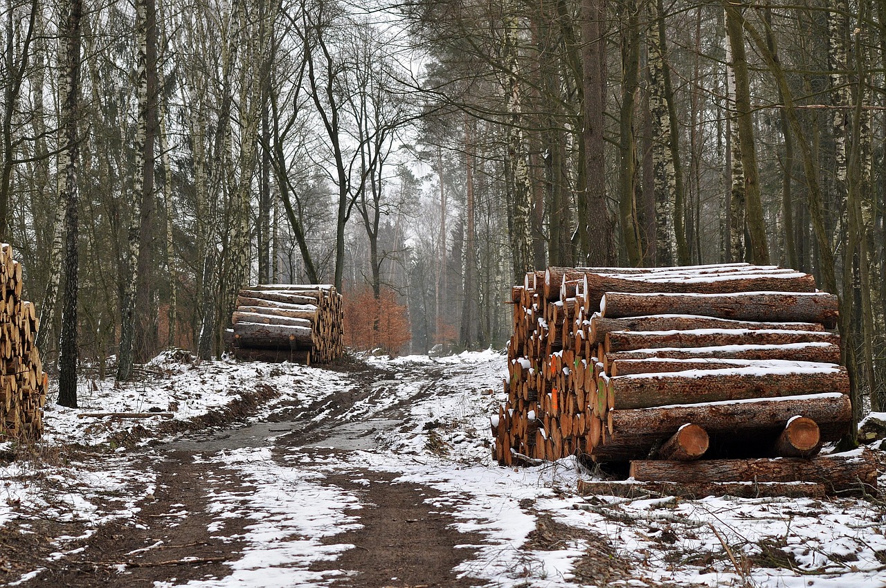 Wood Pile Logging Winter - Free photo on Pixabay