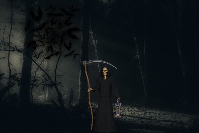 Page 6 - 500+ Free Reaper & Grim Reaper Images - Pixabay