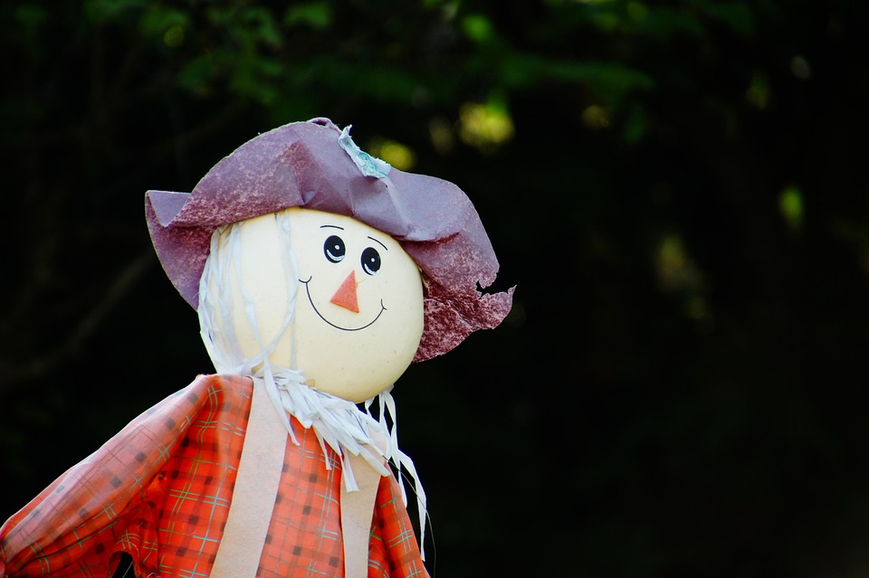 Scarecrow Smile Field - Free photo on Pixabay