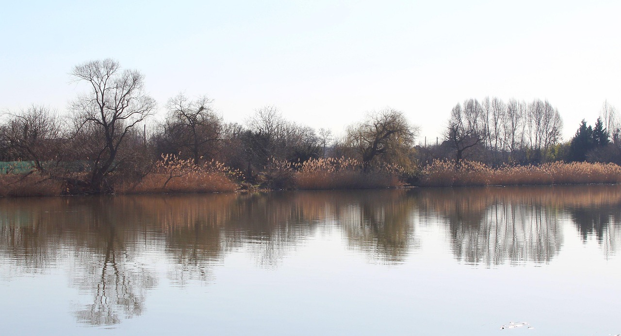Naturaleza Paisaje Danubio - Foto gratis en Pixabay - Pixabay