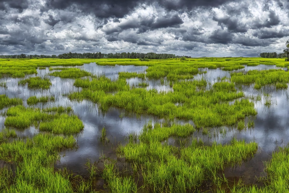 Marsh Nature Sky Free Photo On Pixabay Pixabay Marsh Nature Sky Free Photo On Pixabay Pixabay