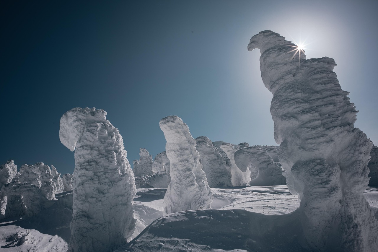 Snow Rime On Trees Oshirabiso - Free photo on Pixabay
