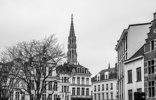 100,000+ Free Town-Hall & Town Hall Images - Pixabay