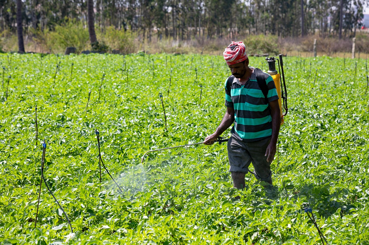 Field Plantation Agriculture - Free photo on Pixabay - Pixabay