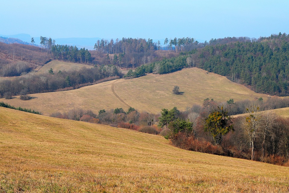 Country Nature Trees - Free photo on Pixabay