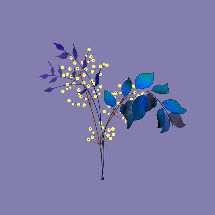 Download Flowers, Nature, Branches. Royalty-Free Stock Illustration ...