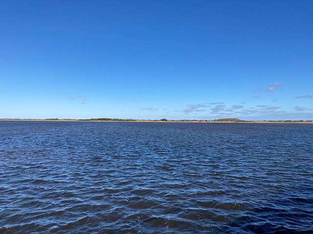 Northsea Denmark Sea - Free photo on Pixabay - Pixabay