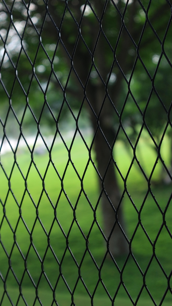 30,000+ Free Green Grid & Grid Images - Pixabay