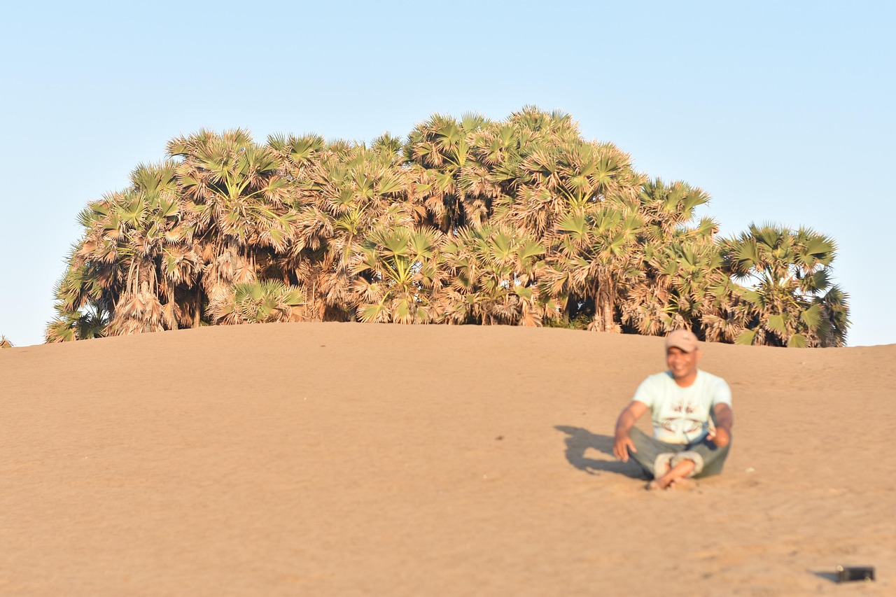 Oetune Sand Dunes Beach - Free photo on Pixabay - Pixabay