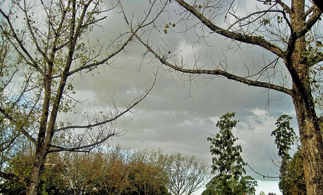 Sky Clouds Overcast - Free photo on Pixabay