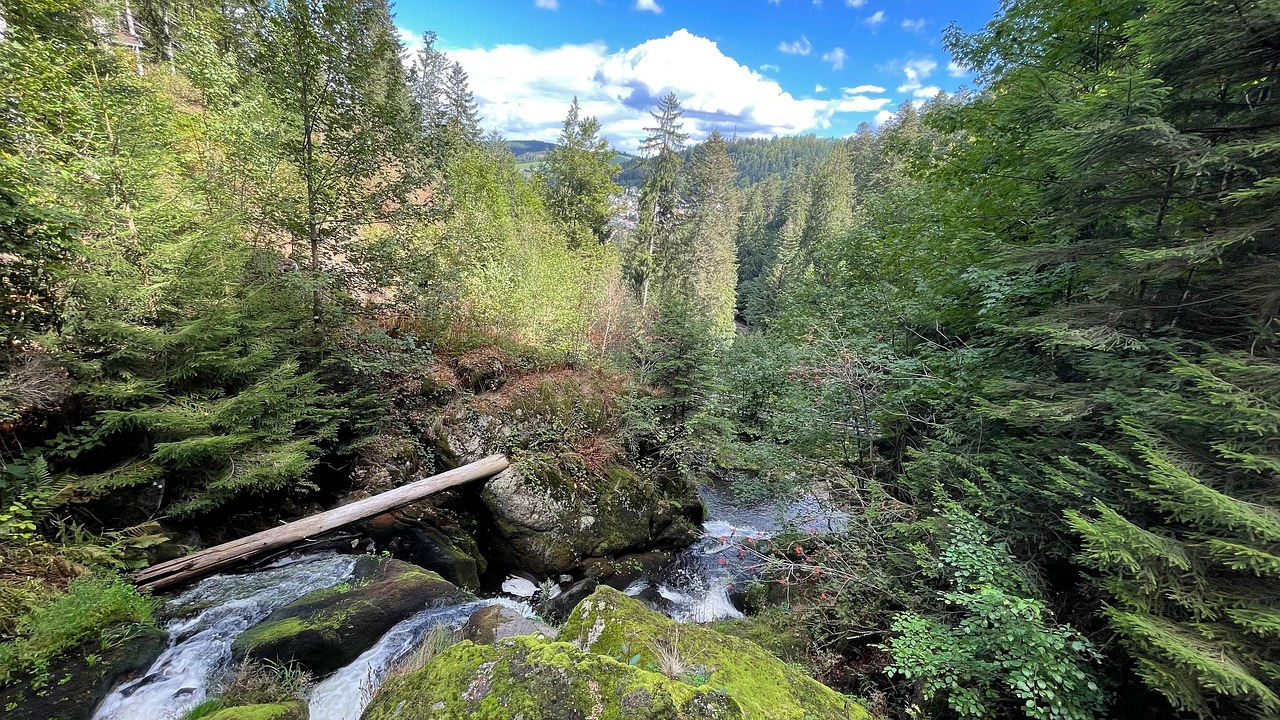 Hutan Hitam Triberg Air Terjun - Foto gratis di Pixabay - Pixabay