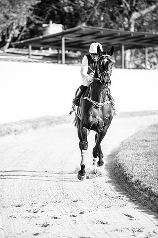 10+ Free Horseride & Horseriding Images - Pixabay