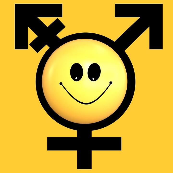 性别 双性人 变性人 Pixabay上的免费图片 Pixabay