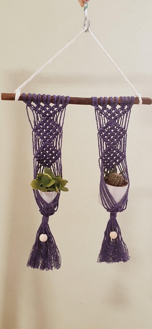 Succulents Macrame - Free photo on Pixabay - Pixabay
