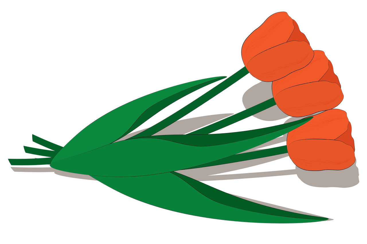 Bunga Tulp Mekar - Gambar gratis di Pixabay - Pixabay