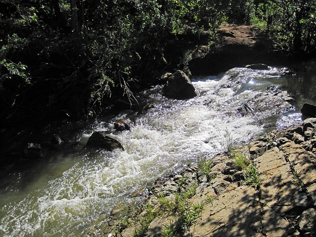River Brook Rushing Water - Free photo on Pixabay