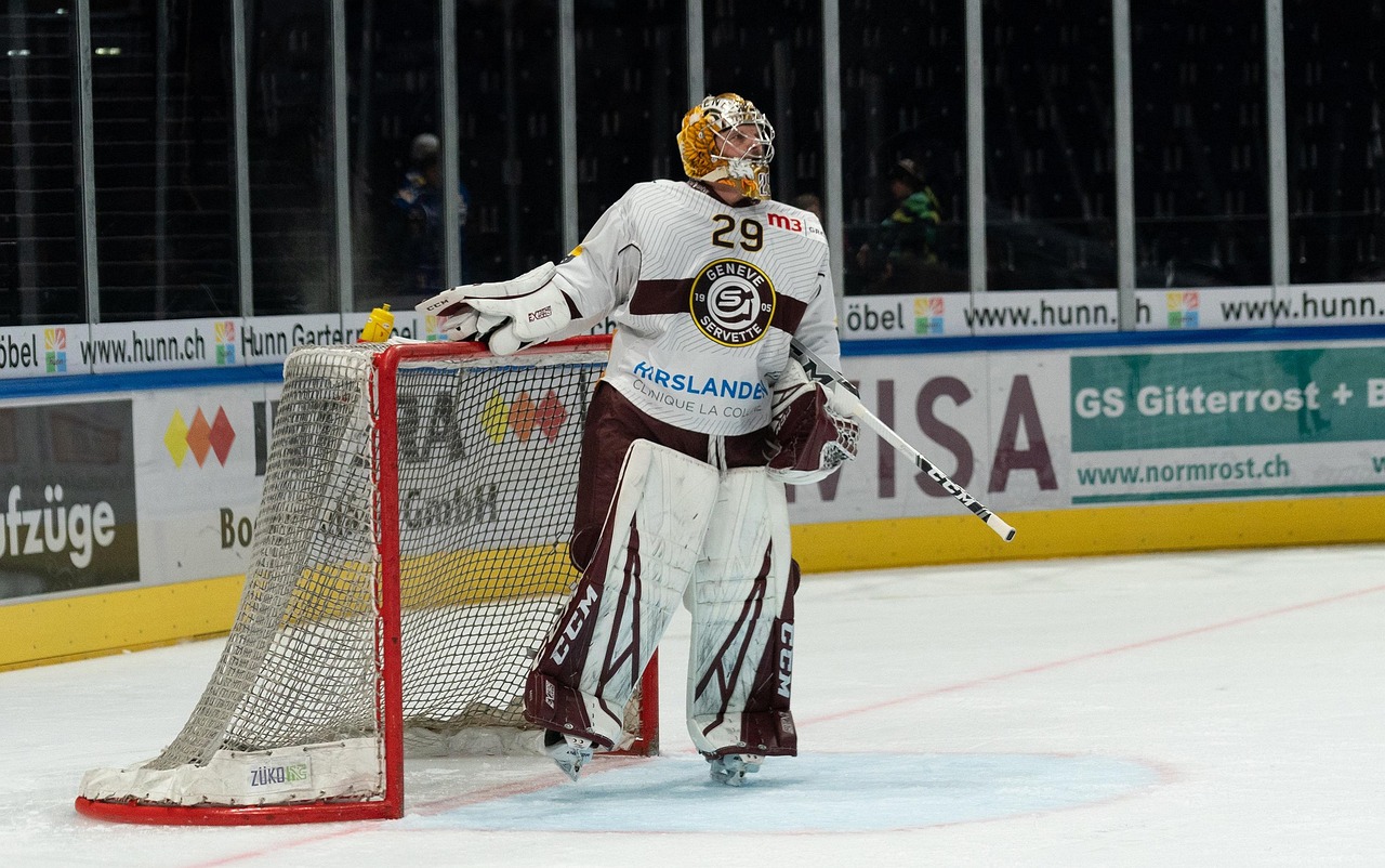 Eishockey Sport Hockey - Kostenloses Foto auf Pixabay