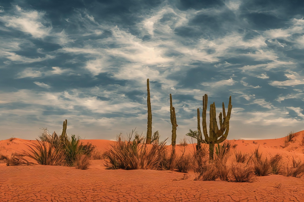 Deserto Natureza Céu - Foto gratuita no Pixabay - Pixabay