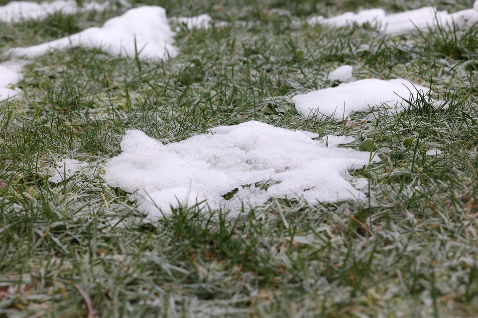 Snow Residue Melt Beginning - Free photo on Pixabay - Pixabay