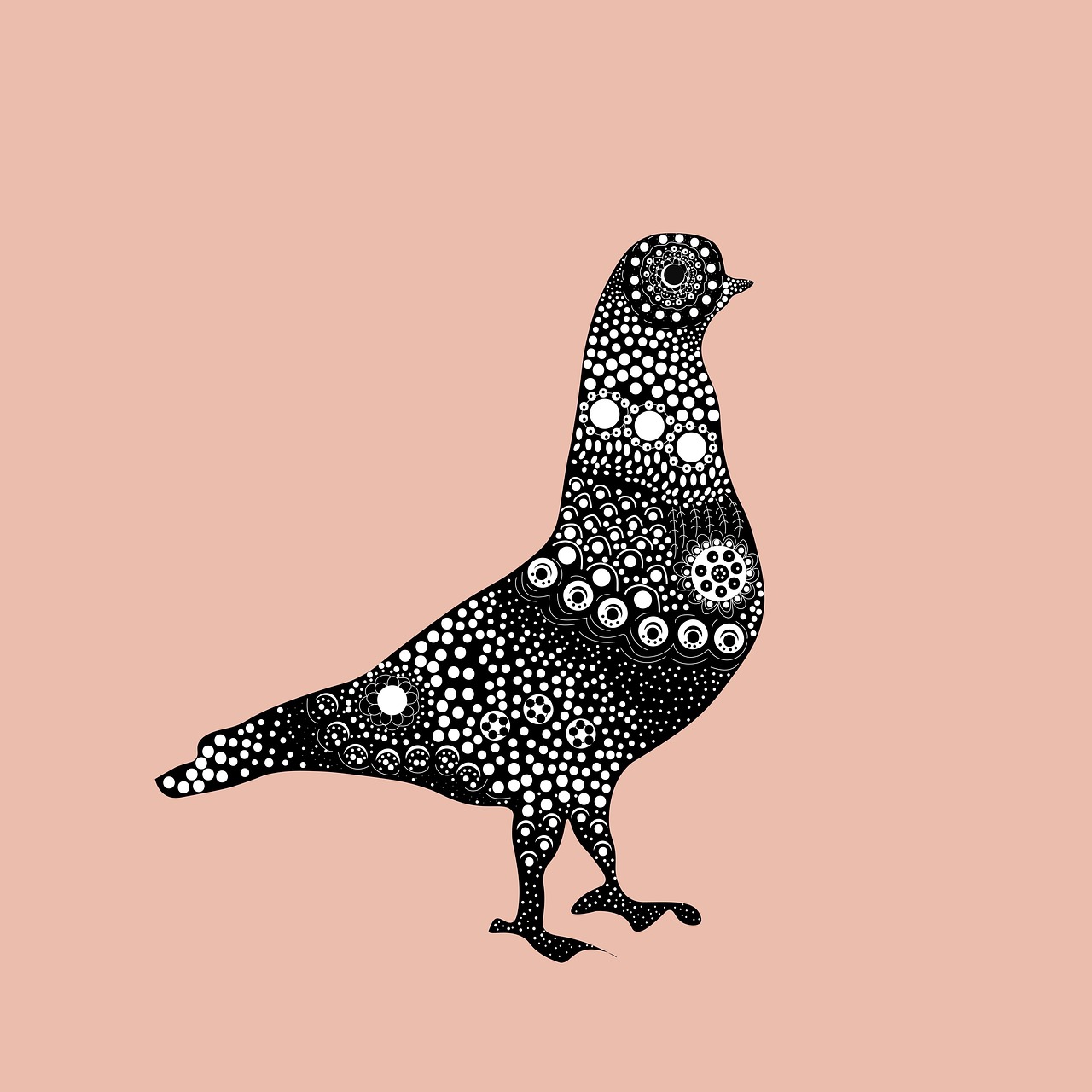50,000+ Free Realistic Pigeon Drawing & Pigeon Images - Pixabay
