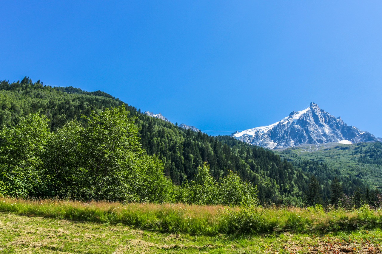 France Alps Mont Blanc Massif - Free photo on Pixabay - Pixabay