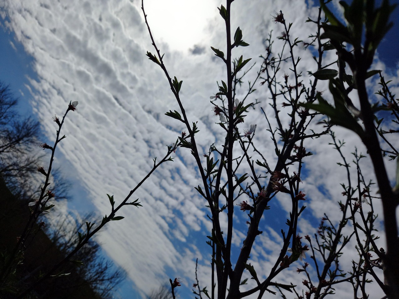 Ciel Le Printemps - Photo gratuite sur Pixabay - Pixabay