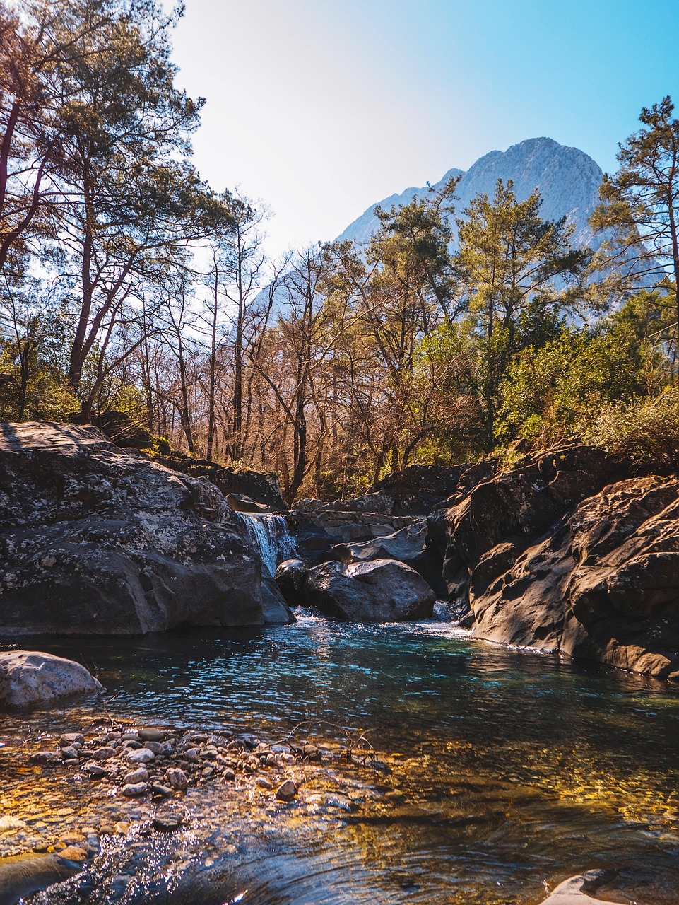 Naturaleza Bosque Desierto Al Aire - Foto gratis en Pixabay - Pixabay