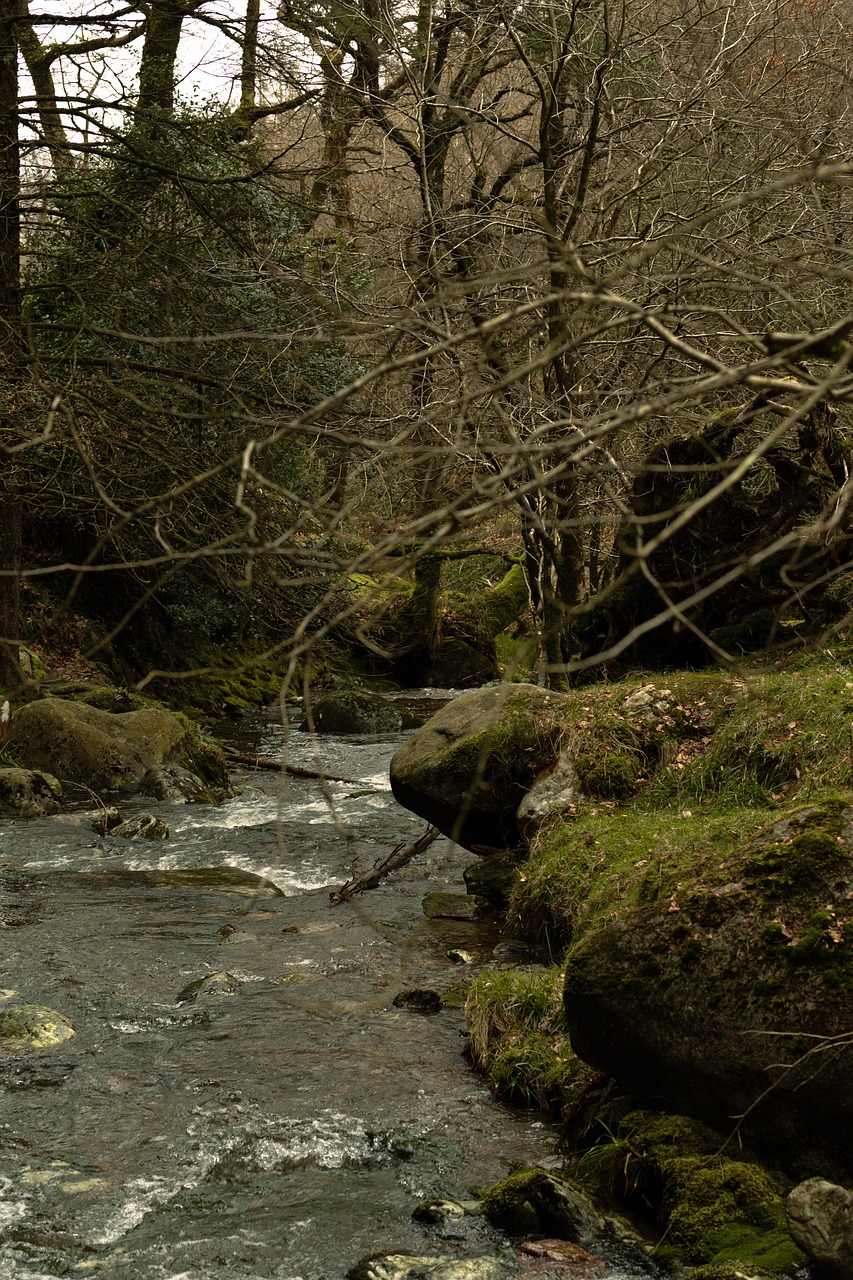 Nature Water Flow - Free photo on Pixabay - Pixabay