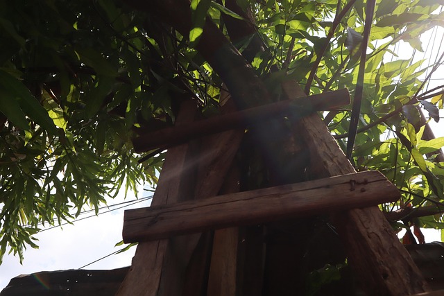 Ladder La Nature - Photo gratuite sur Pixabay - Pixabay