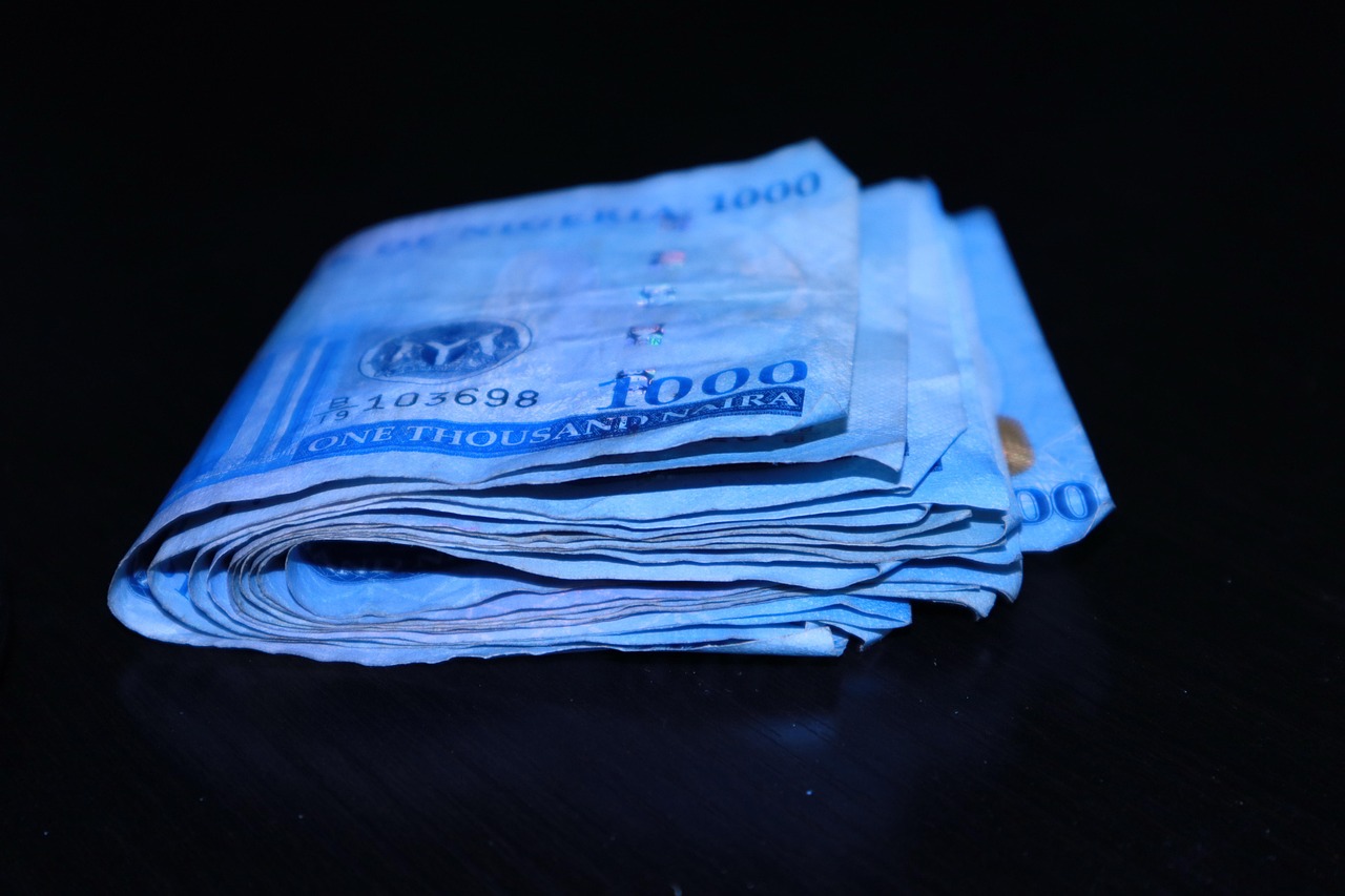 Naira New Note Free Photo On Pixabay Pixabay
