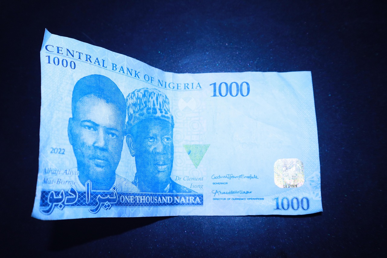 New Naira Note Free Photo On Pixabay Pixabay