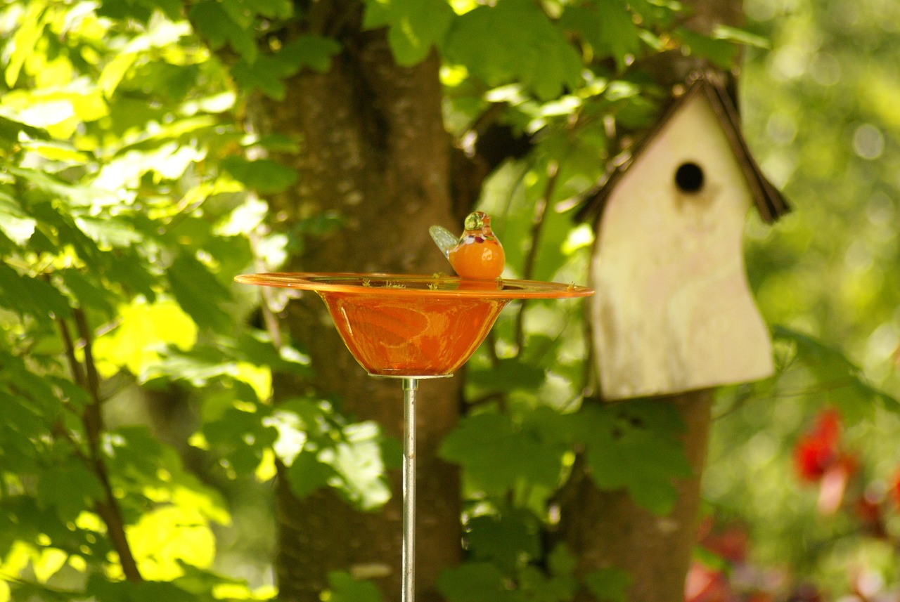 Bird House Bath Garden - Free photo on Pixabay - Pixabay