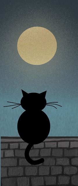 Download Cat, Moon, Roof. Royalty-Free Stock Illustration Image - Pixabay
