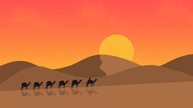 40+ Free Camel Wallpaper & Egypt Images - Pixabay