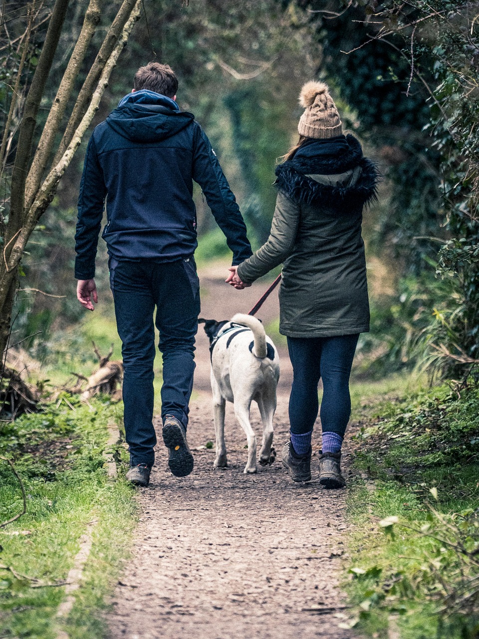 20,000+ Free Dog Couple & Couple Images - Pixabay