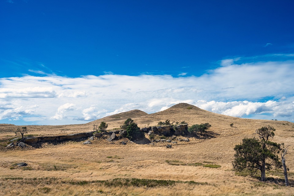 Landscape Grass Dry - Free photo on Pixabay - Pixabay