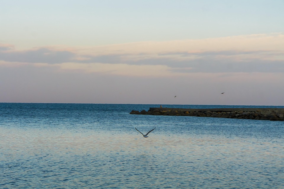 Mare Sole Estate - Foto gratis su Pixabay - Pixabay