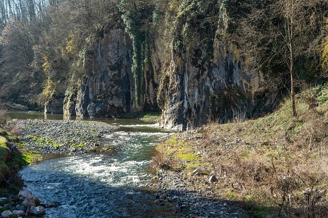 Rivière Ribnica Serbie La Grotte - Photo gratuite sur Pixabay - Pixabay