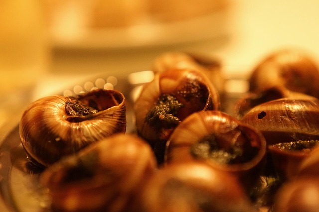 Escargots Gourmet Aliments Plat - Photo gratuite sur Pixabay - Pixabay