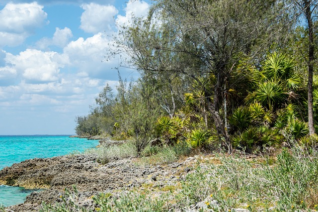 Summer Beach Vacation - Free photo on Pixabay - Pixabay