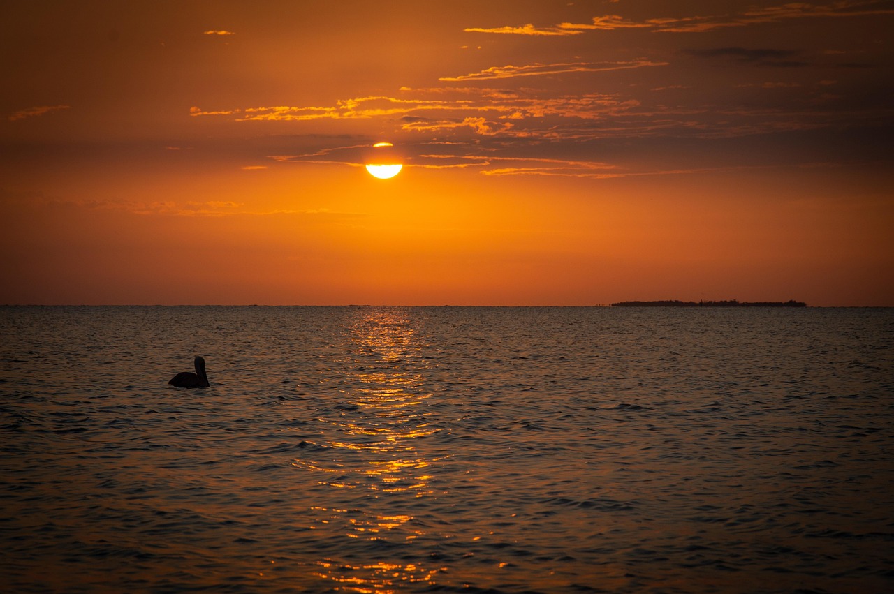 Dawn Sunset Ocean - Free photo on Pixabay