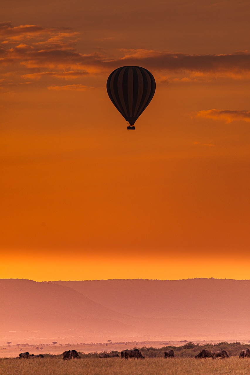 Animais Selvagens Pôr Do Sol - Foto gratuita no Pixabay - Pixabay