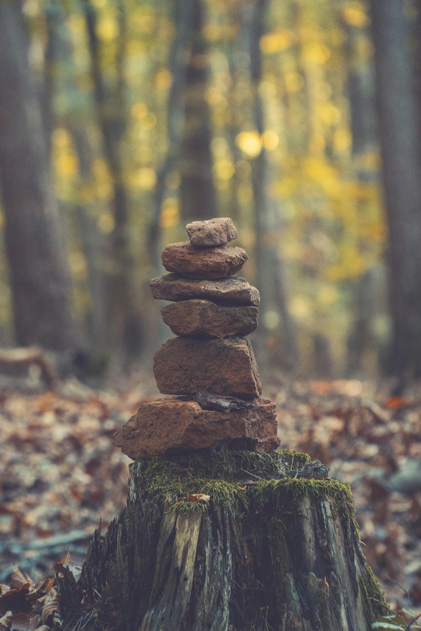 Stones Trees Wood - Free photo on Pixabay - Pixabay