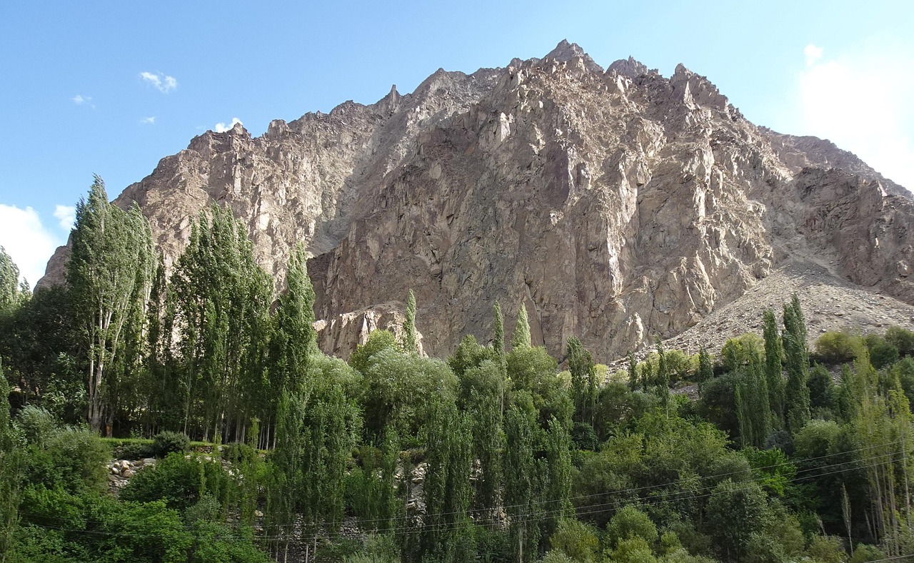 Mountain Stream Poplar - Free photo on Pixabay