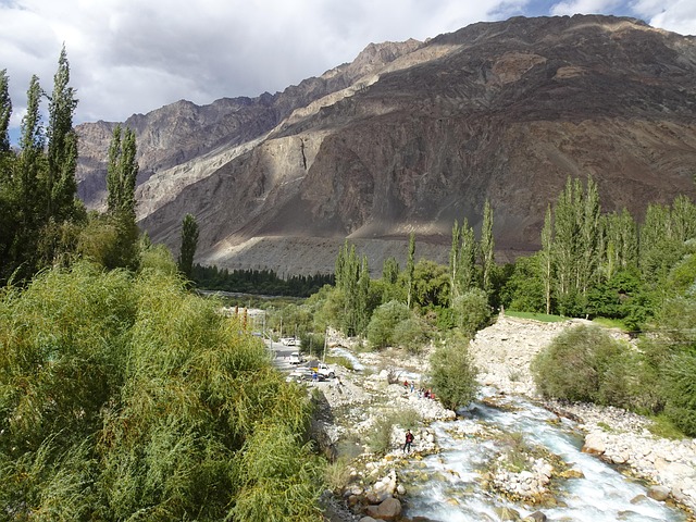 Mountain Stream Poplar - Free photo on Pixabay