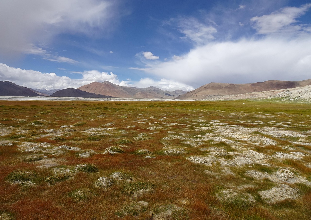Lake Tso Kar Mountain - Free photo on Pixabay - Pixabay