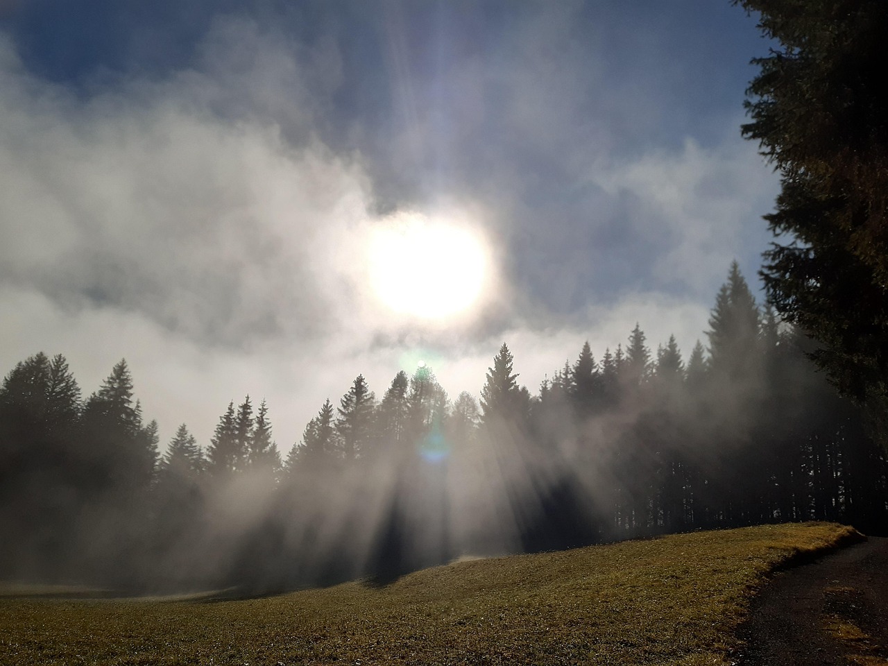 Nebel Natur Landschaft - Kostenloses Bild auf Pixabay - Pixabay