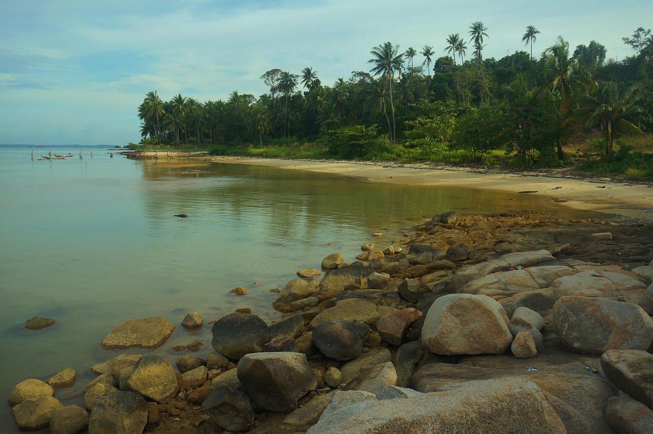 Plage Mer Forêt - Photo gratuite sur Pixabay - Pixabay
